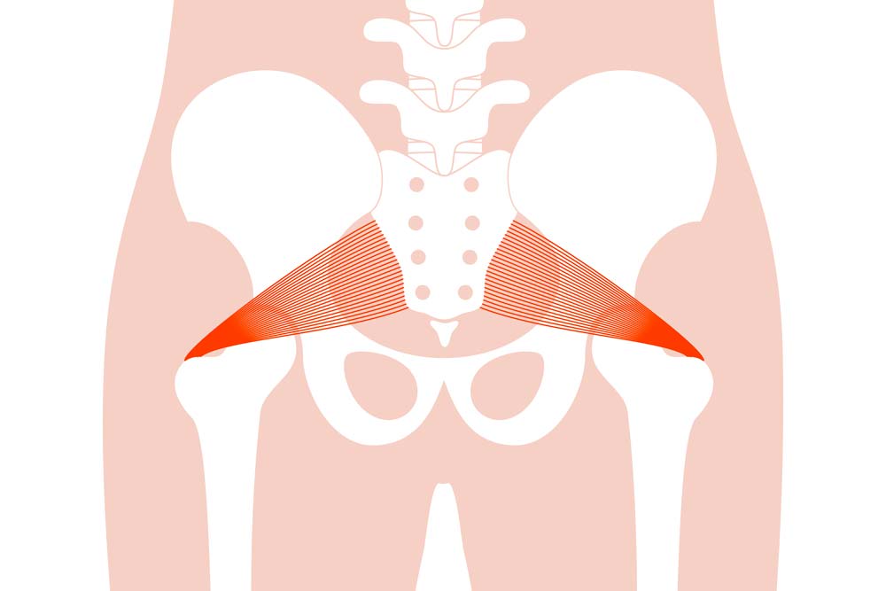 Sindrome del piriforme - FisioOneCare - Fisioterapia Parma