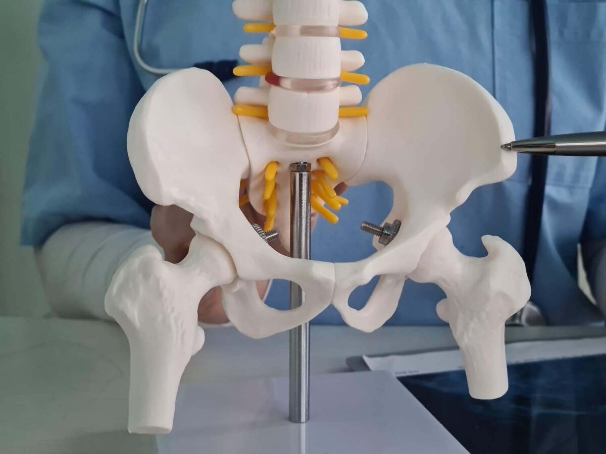 Fratture del bacino: cause, sintomi e trattamenti - FisioOneCare ...
